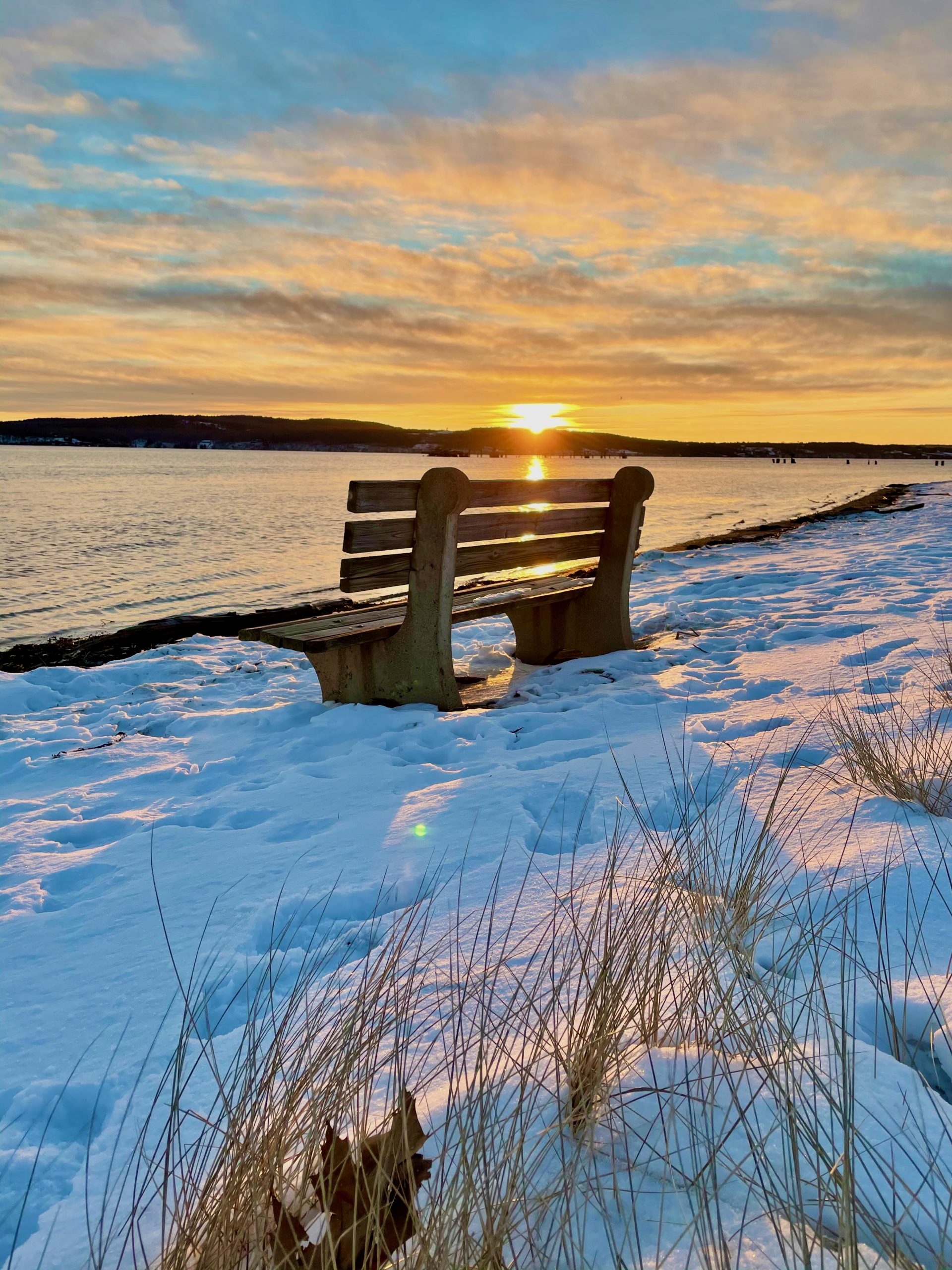 February Sun – Tim Cotton Writes