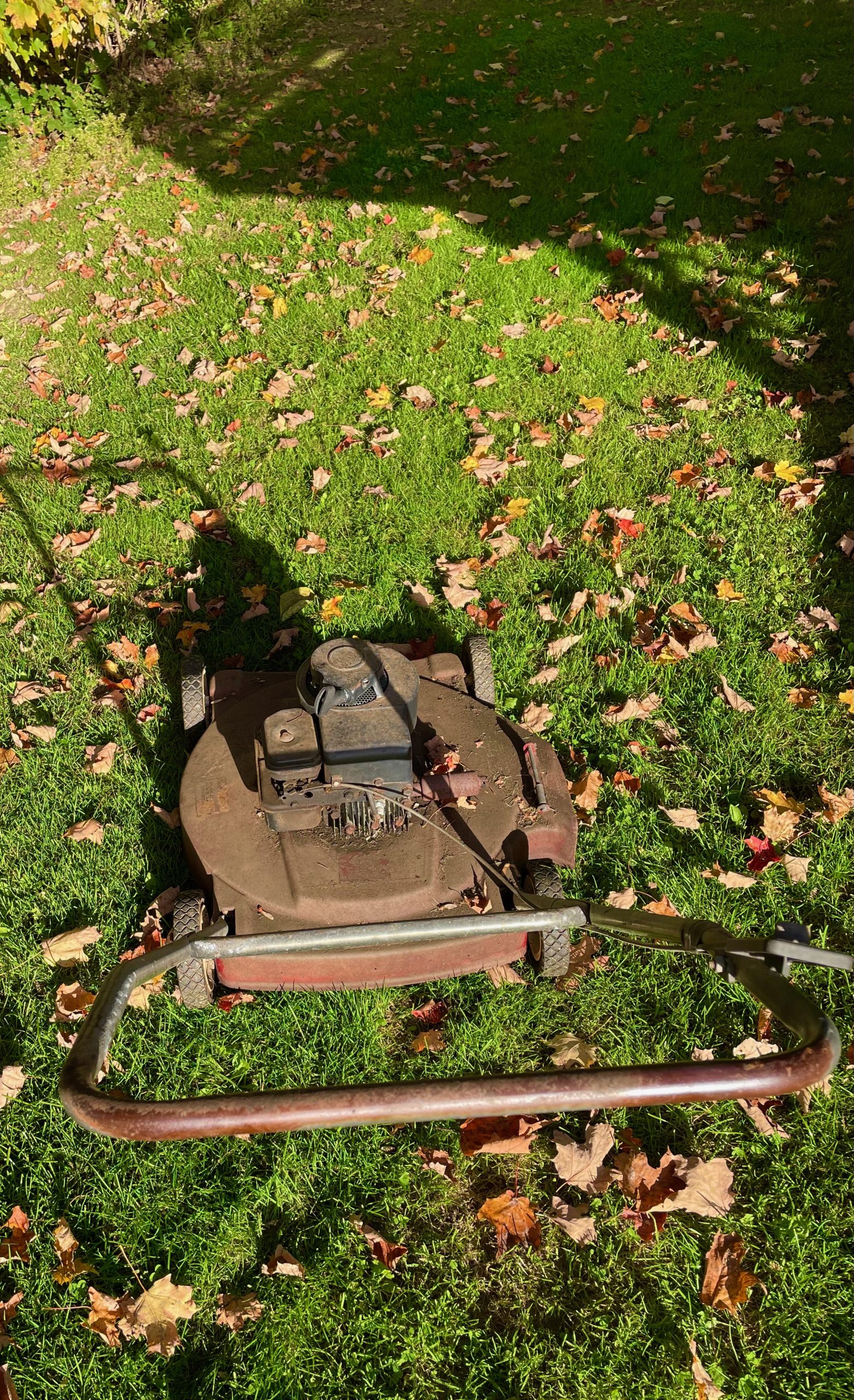 A Song From Another Time – Tim Cotton Writes