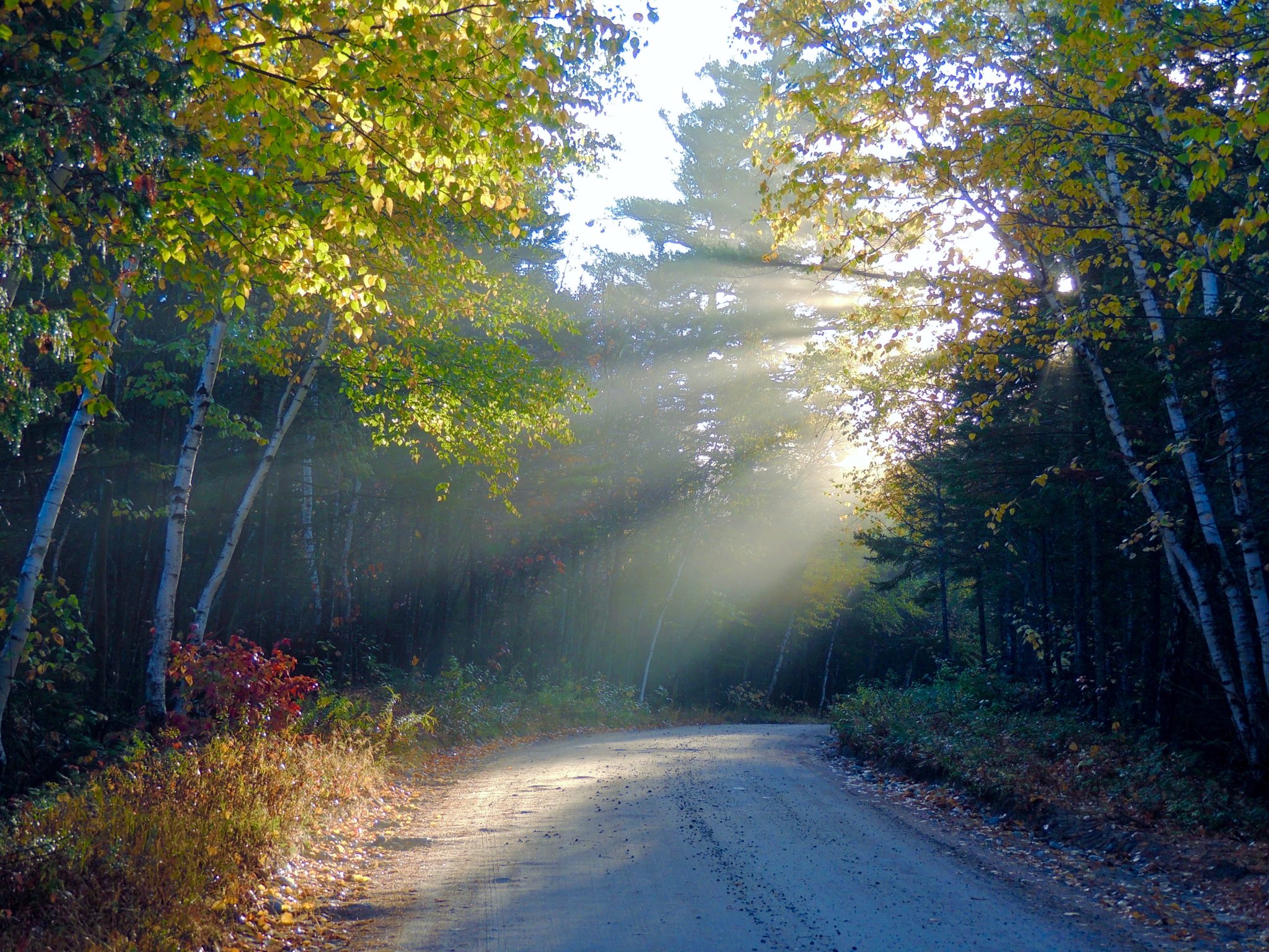 Newslog Posts | Tim Cotton Writes