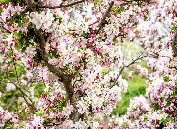 Acting on the Adage – Tim Cotton Writes