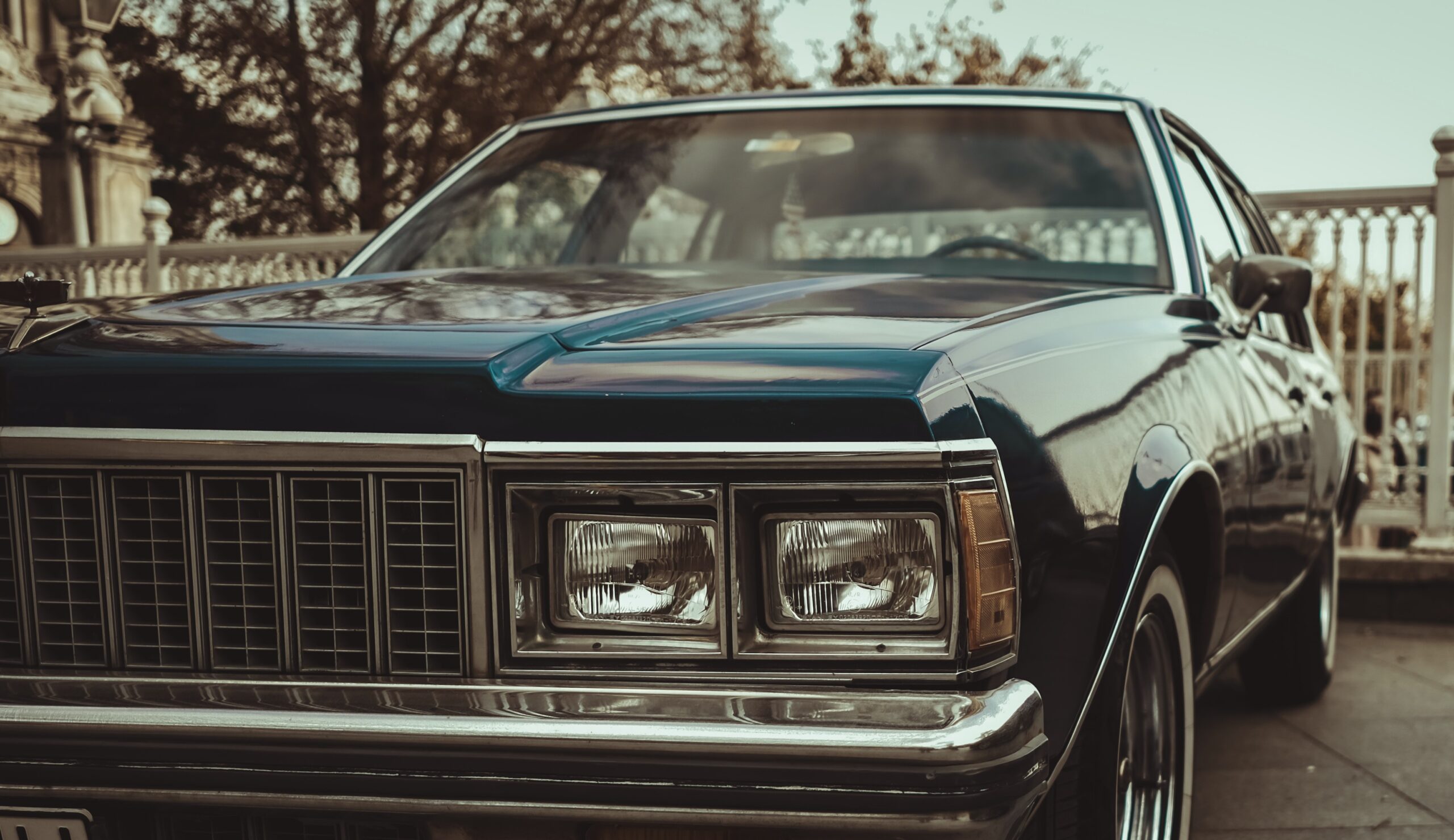 The Last Impala | Tim Cotton Writes