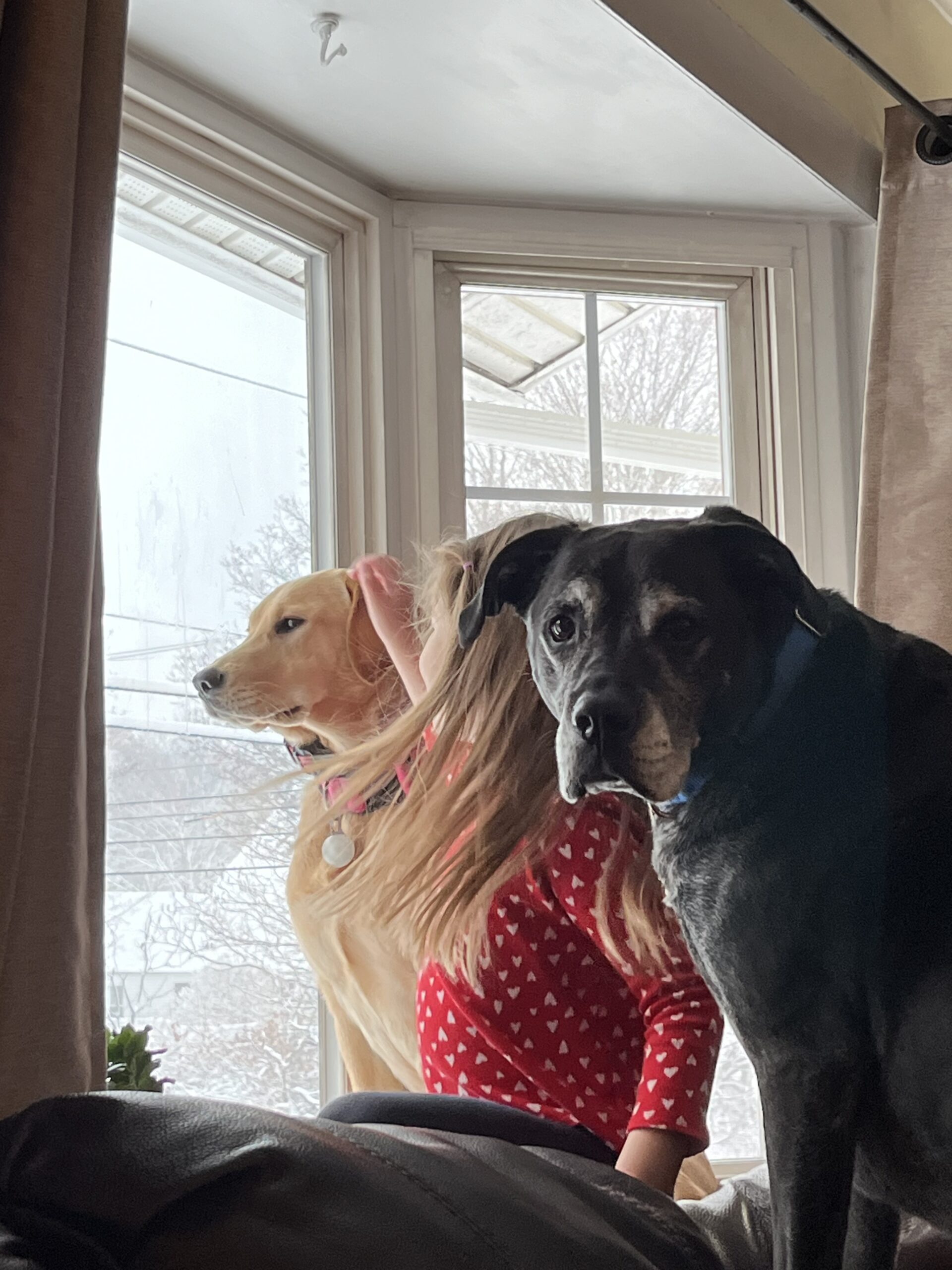 Hearts – Tim Cotton Writes