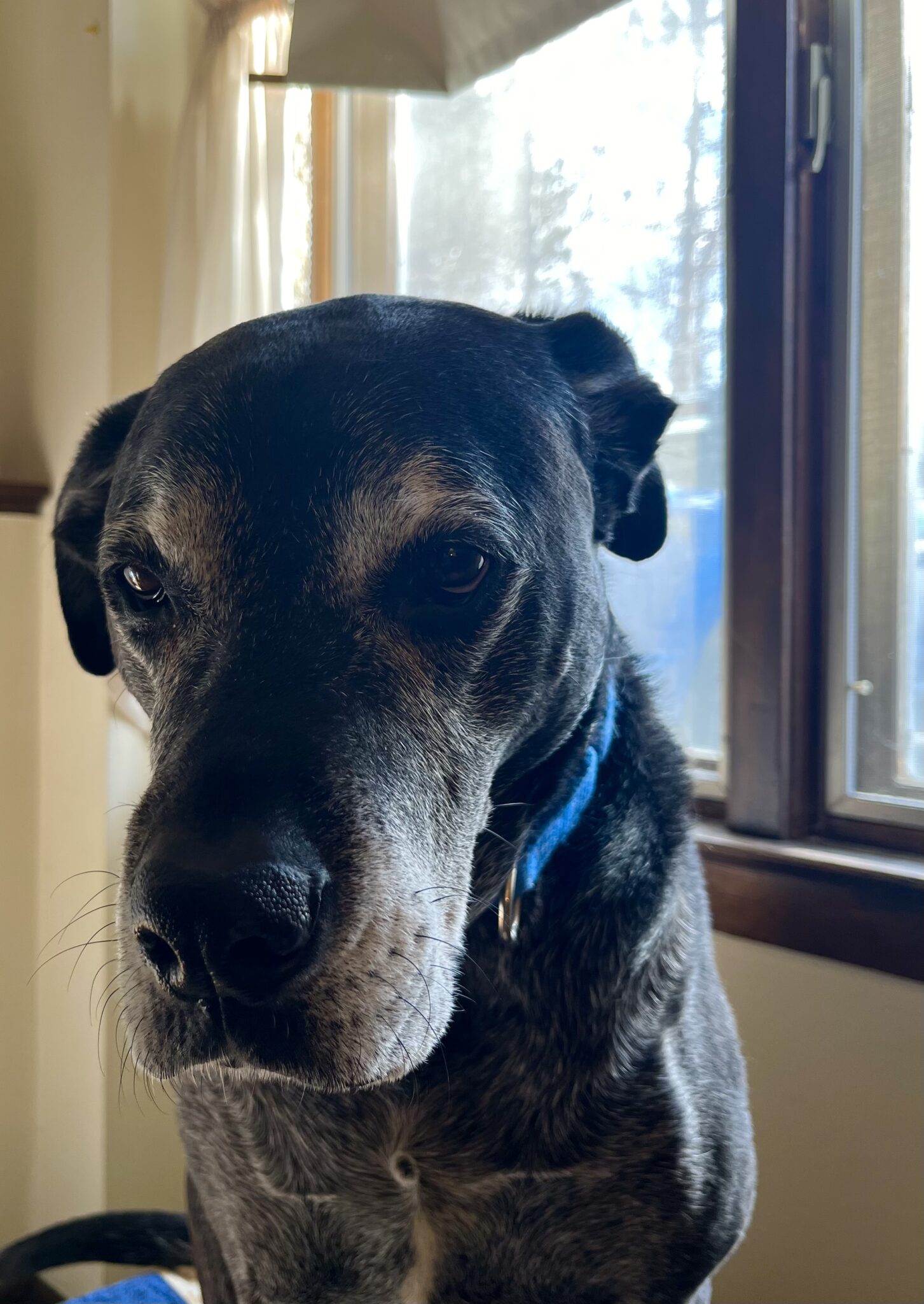 Writing Room – Tim Cotton Writes