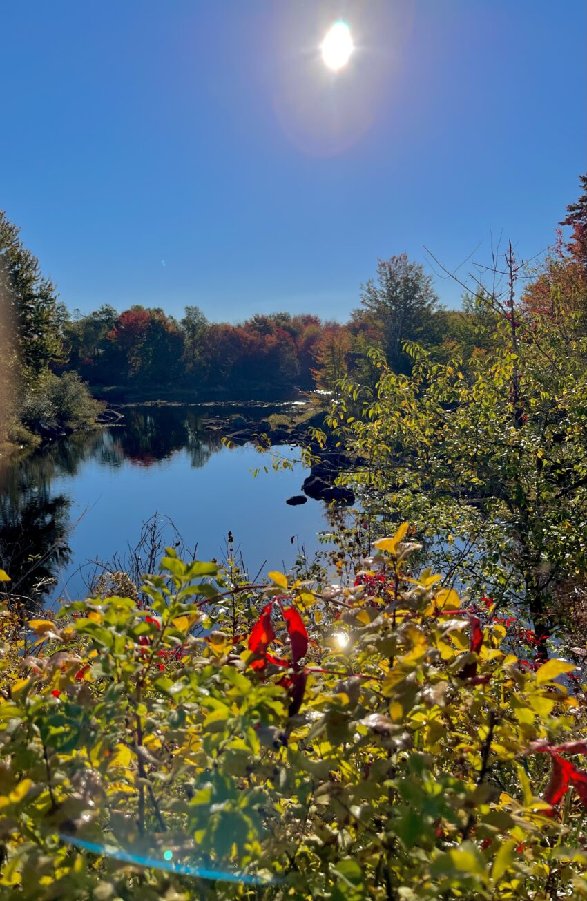 Camp—Day Three – Tim Cotton Writes